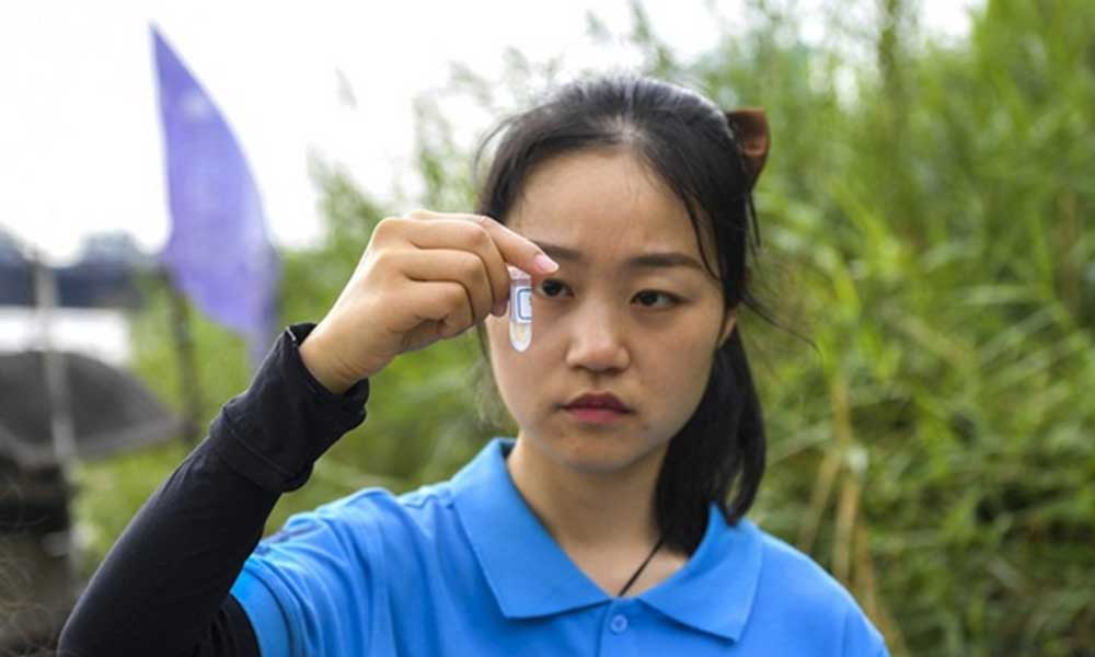 Çin’in-güneyindeki-Guangxi-Zhuang-Özerk-Bölgesi’nin-Guiping-şehrinde ...